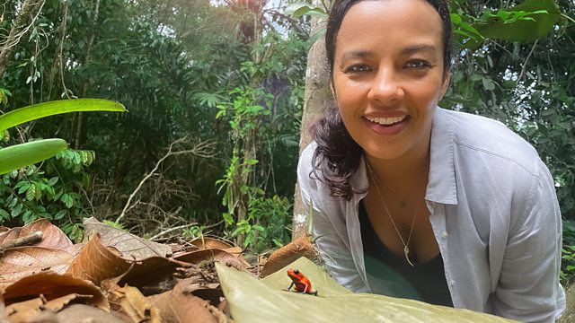 BBC Two - Liz Bonnin's Wild Caribbean