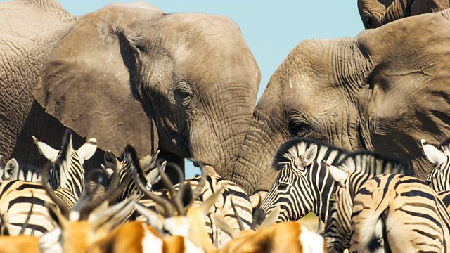 BBC - Programmes categorised as Documentaries - Available now