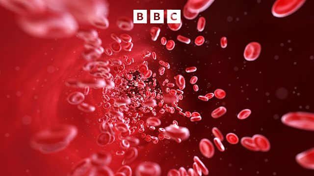BBC Local Radio - In Detail...