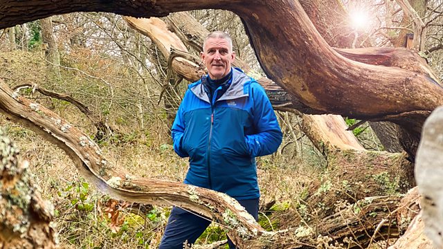 BBC One - Springwatch in Wales