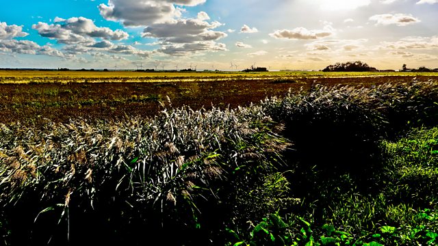 BBC Radio 4 - Open Country