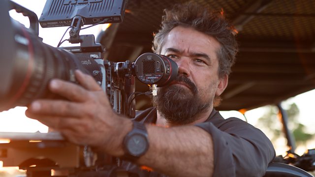 BBC Two - Big Cats 24/7 - Anna Dimitriadis