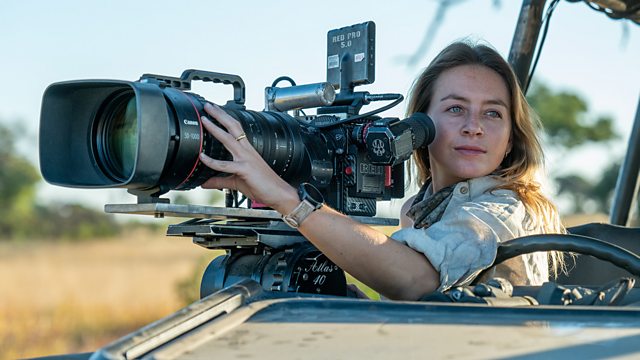 BBC Two - Big Cats 24/7