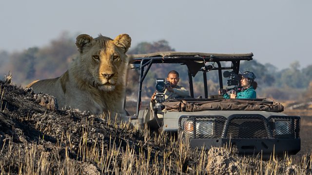 BBC Two - Big Cats 24/7 - The Okavango Delta: An introduction