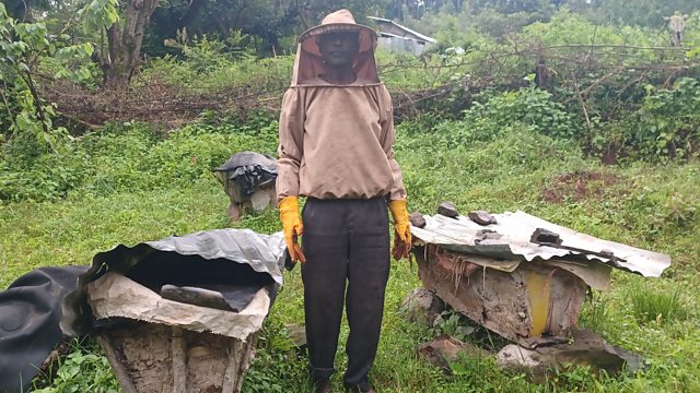 BBC Radio 4 - Radio 4 Appeal, Bees for Development