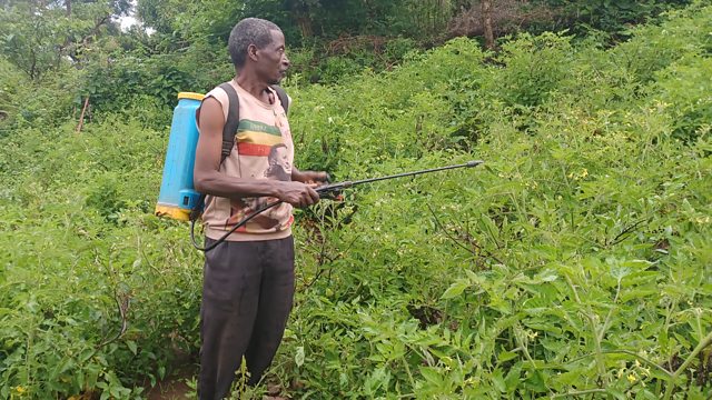 BBC Radio 4 - Radio 4 Appeal, Bees for Development