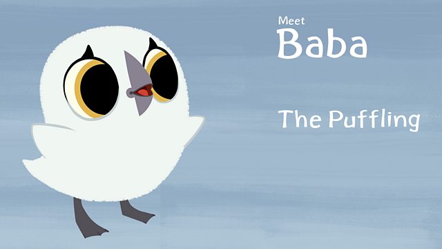 Puffin Rock - CBeebies - BBC