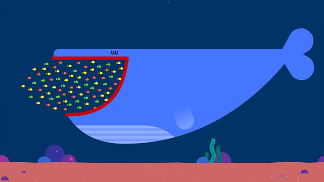 Hey Duggee's Squirrel Club - CBeebies - BBC