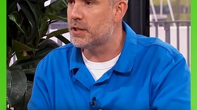 BBC One - Morning Live, What are the dangers of snus?