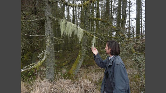 BBC Radio 4 - Saving Species, Series 3, Sausage lichen; Turkmenistan ...