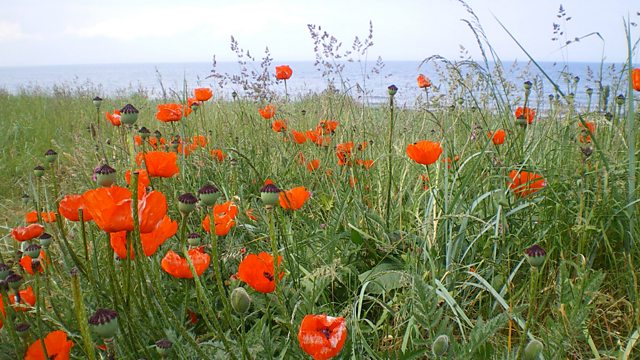BBC Radio nan Gàidheal - Slighe Iain Muir, Episode 4, Dealbhan ...