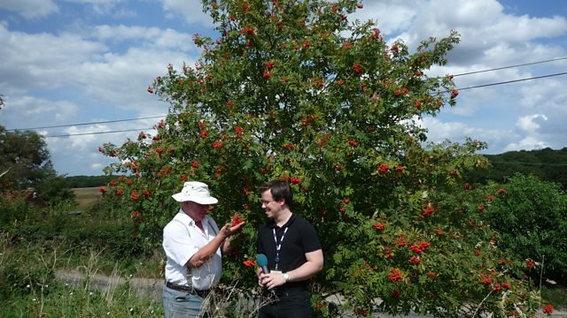 BBC Radio Norfolk - Matthew Gudgin - High Ash Farm