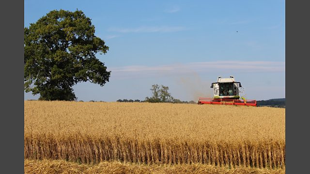 BBC Radio 4 - Farming Today, Farming Today spends a week on a dairy ...