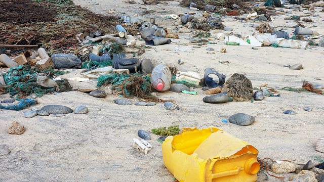 BBC - How Does Plastic Kill Wildlife?