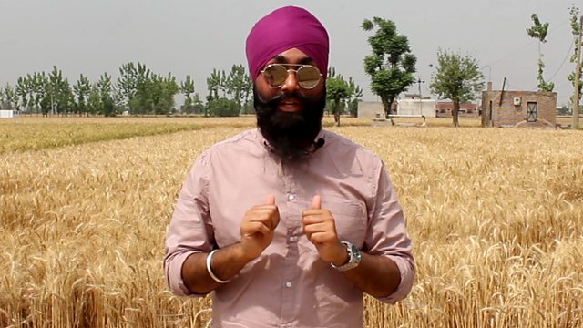 BBC - The Social, Questions For A Sikh!
