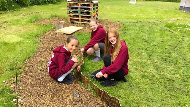 BBC - Gardening for Schools, Woodlawn Primary School - Carrickfergus ...