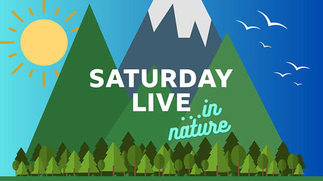 BBC Radio 4 - Saturday Live, Bethany Handley - Writer