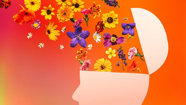 BBC Radio 4 - Just One Thing - with Michael Mosley, Deep Calm - with ...