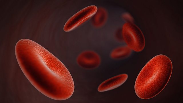 BBC Radio 4 - Radio 4 in Four - Thirteen blood facts to absorb