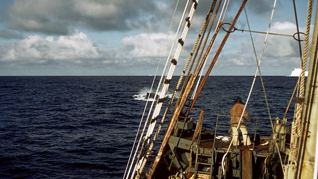 BBC Four - Britain's Whale Hunters: The Untold Story - A glimpse into ...
