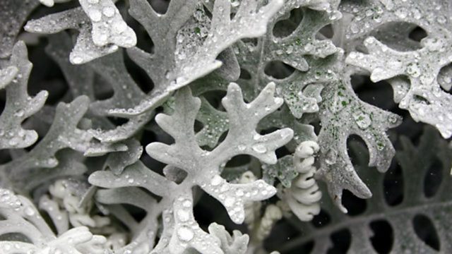 BBC - When Gothic Was Born - About the Season