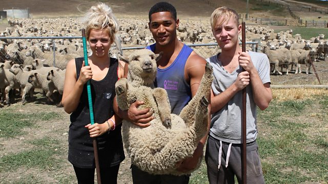 BBC Three - World's Toughest Jobs - Sheep shearing in New Zealand