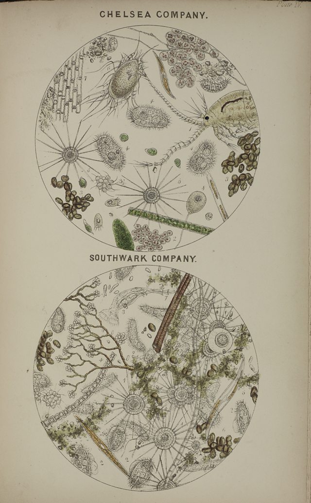 BBC Arts - Get Creative - Putting art under the microscope