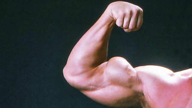 Muscle hypertrophy - Muscular system - WJEC - GCSE Physical Education ...