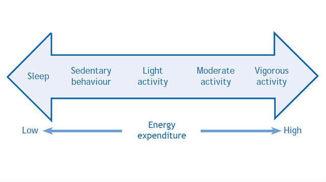 Physical activity levels - moderate and vigorous intensity - Sedentary ...