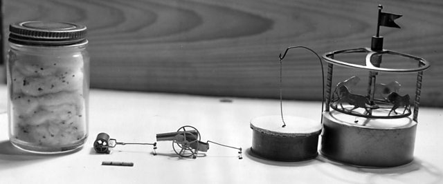 BBC Radio 4 - Natural Histories, Fleas - The rise and demise of the ...