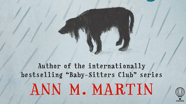 BBC Radio 2 - The Radio 2 Book Club - How To Look For A Lost Dog by Ann ...