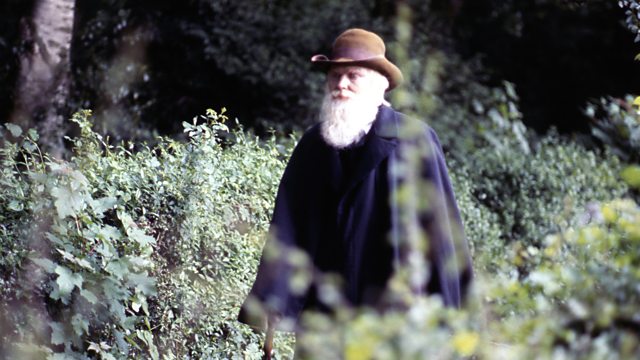 BBC - 15 excellent facts we've learned about beards