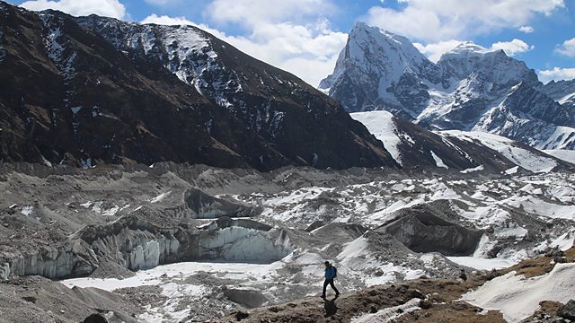 BBC One - Planet Earth II - Ten things you should know about yetis