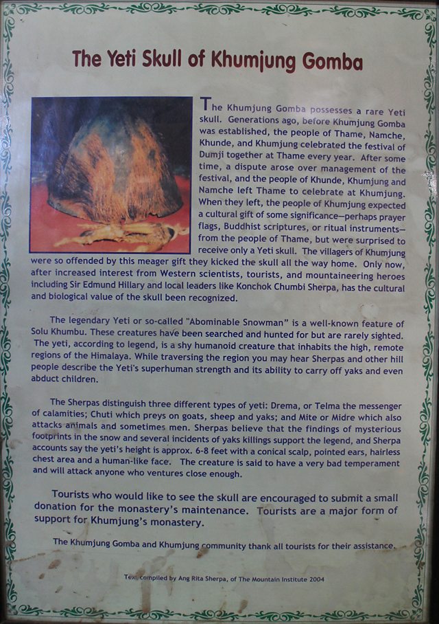 BBC One - Planet Earth II - Ten things you should know about yetis