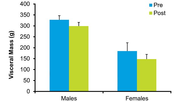 BBC Two - Trust Me, I'm a Doctor, Series 6, Episode 3 - What does ...