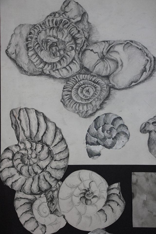 Pencil - Experimenting with materials and techniques - GCSE Art and ...