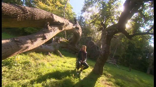 BBC Arts - Contains Strong Language - Free the Word: Bobowler