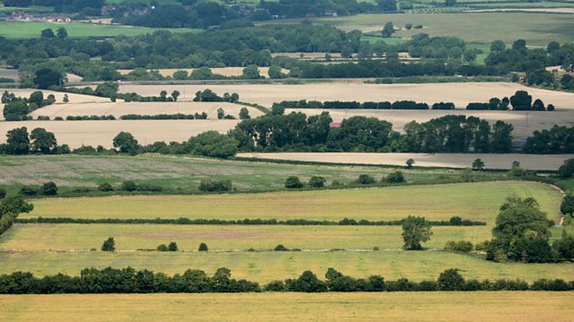BBC Radio 4 - Radio 4 in Four - 15 wild words to describe the natural world