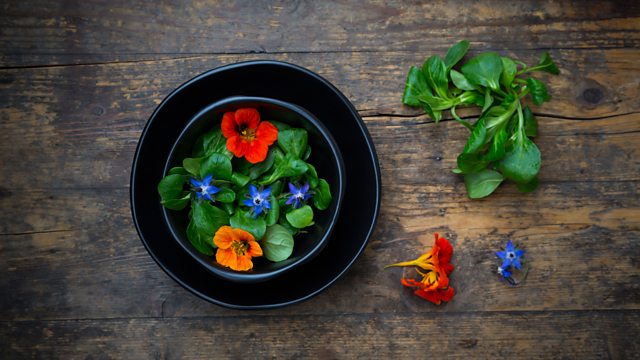 BBC Radio 4 - Radio 4 in Four - Seven of the most sacred plants in the ...