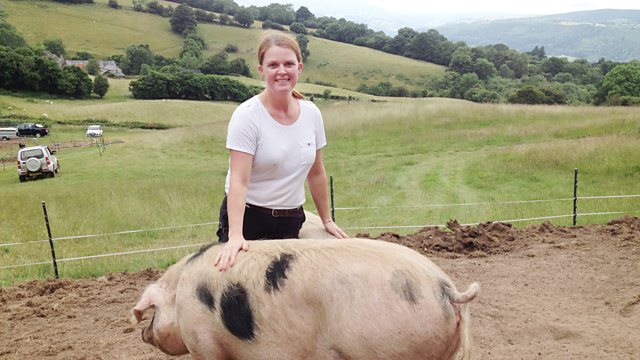 BBC Radio 4 - Radio 4 in Four - From snorts to snouts: ten facts about pigs