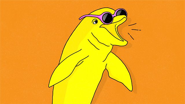 BBC Radio 4 - The Tim Vine Chat Show - Are these the greatest comedy ...