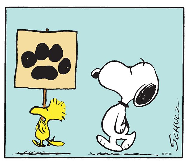 BBC Arts - BBC Arts - Seven things you might not know about Peanuts