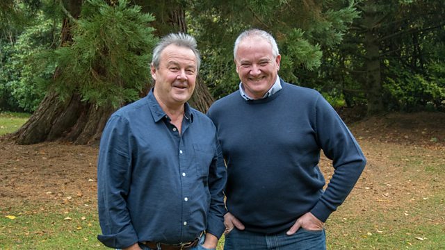 BBC Scotland - BBC Scotland - What causes spectacular red and orange ...