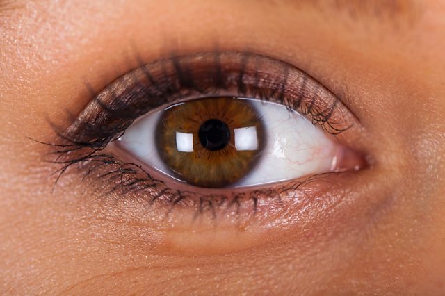 Speaking - describing your eyes - Myself and my family - GCSE Irish ...