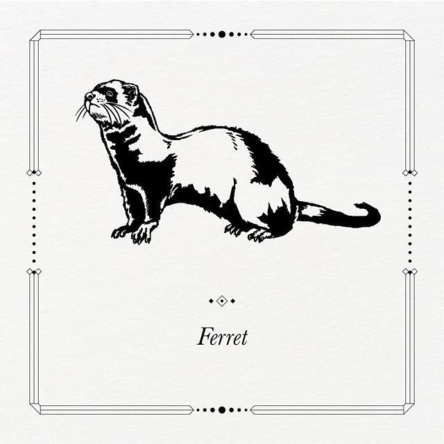 BBC One - His Dark Materials - Ferret