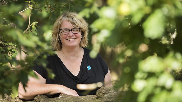 BBC Blogs - Springwatch - How nature unlocks a sense of freedom