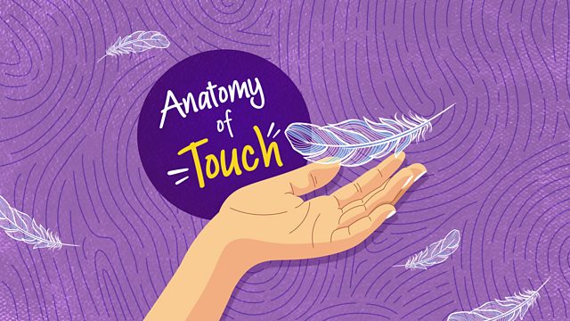 BBC Radio 4 - Anatomy of Touch - Nine things we learned from the world ...