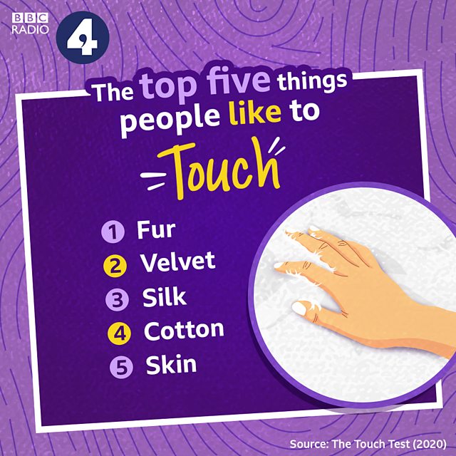 BBC Radio 4 - Anatomy of Touch - Nine things we learned from the world ...