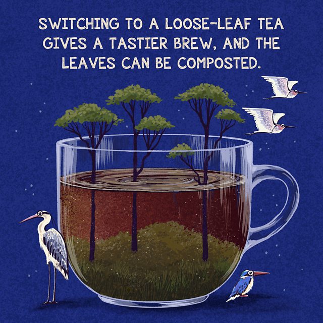 BBC Radio 4 - 39 Ways to Save the Planet - Five easy ways you can help ...