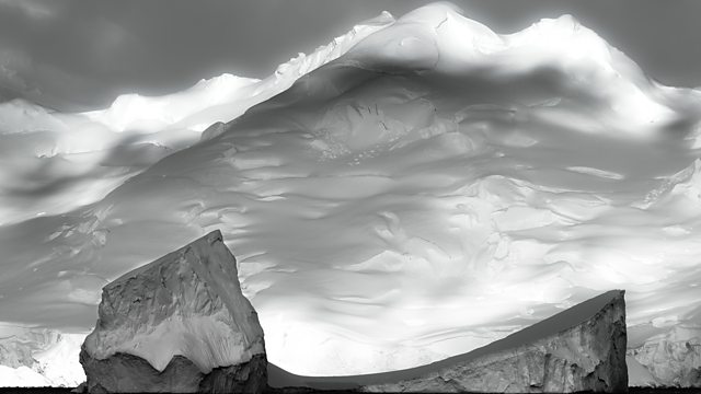 BBC Arts - BBC Arts - A walk on the photographic wild side with Chris ...